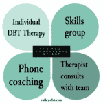 The Structure: Dialectical Behavioral Therapy DBT Treatment
